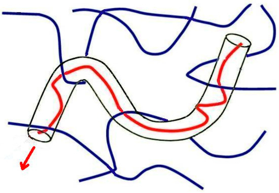 Progress in Studies of Disentangled Polymers and Composites