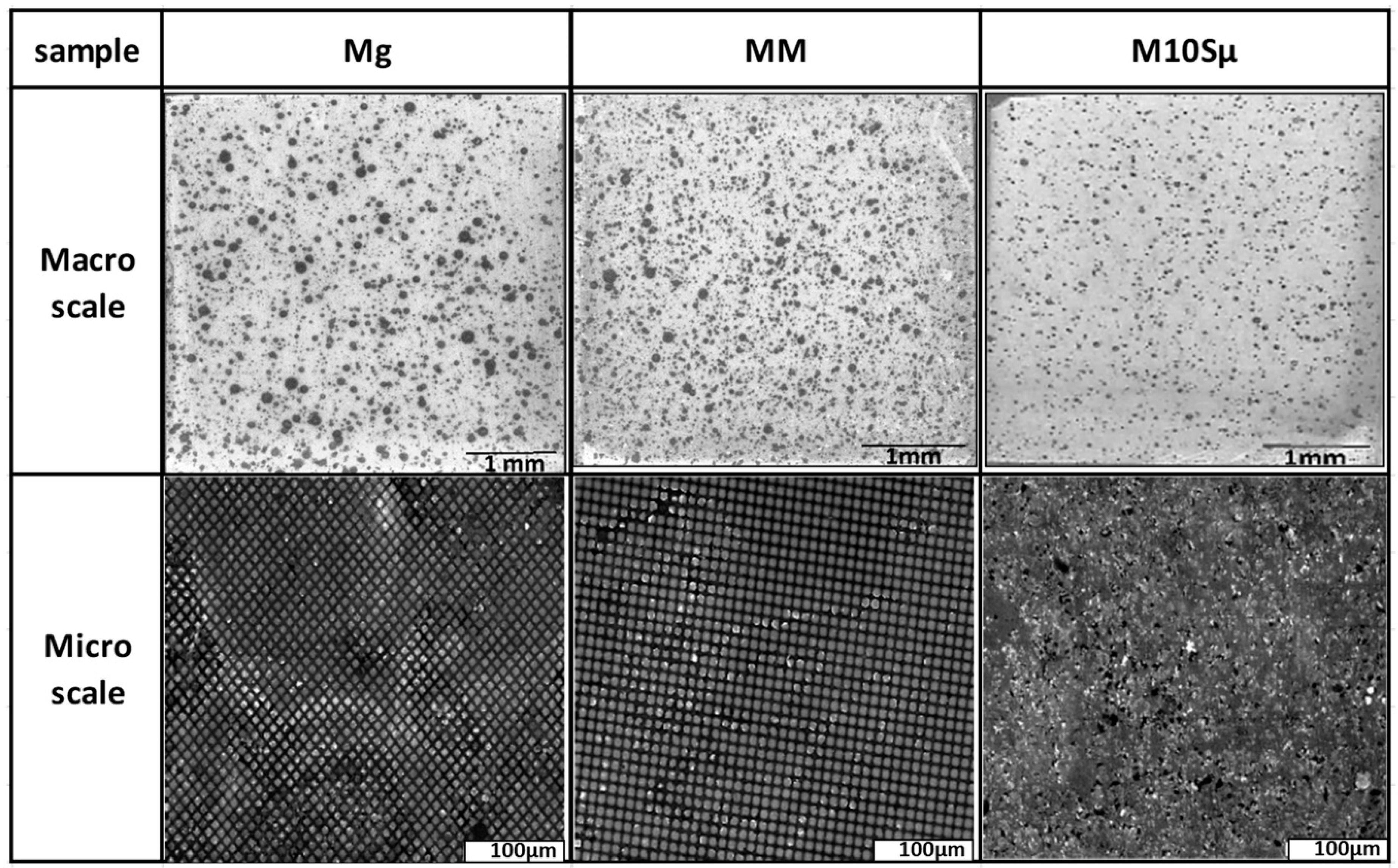 Global and Local Deformation Analysis of Mg-SiC Nanocomposites: Digital ...