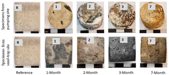 Deterioration of Cementitious Materials in Wastewater Treatment Plants ...