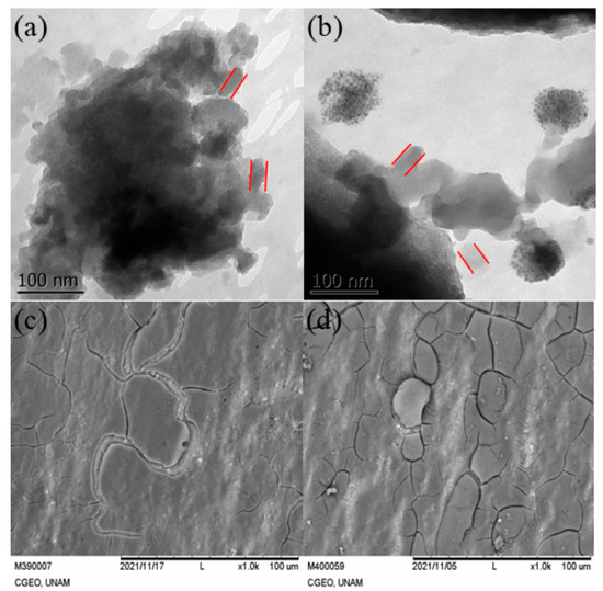 Antimicrobial Hydrophobic SiO2-TiO2-PDMS Films: Effect of Indirect Ultrasonic Irradiation on the ...