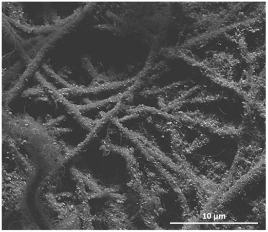 Development of High-Sensitivity Thermoplastic Polyurethane/Single ...
