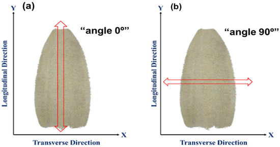 Does the Layer Configuration of Loofah (Luffa cylindrica) Affect the ...