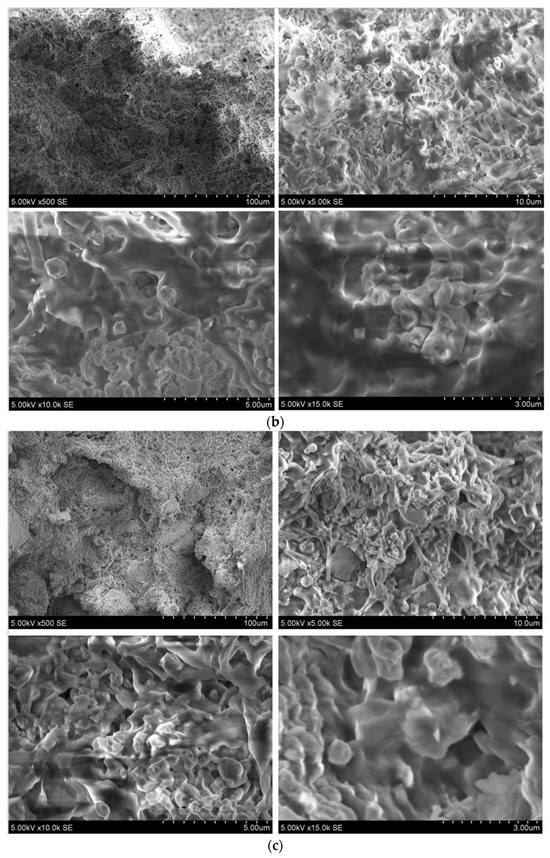 Development and Evaluation of 3D-Printed PLA/PHA/PHB/HA Composite Scaffolds for Enhanced Tissue ...