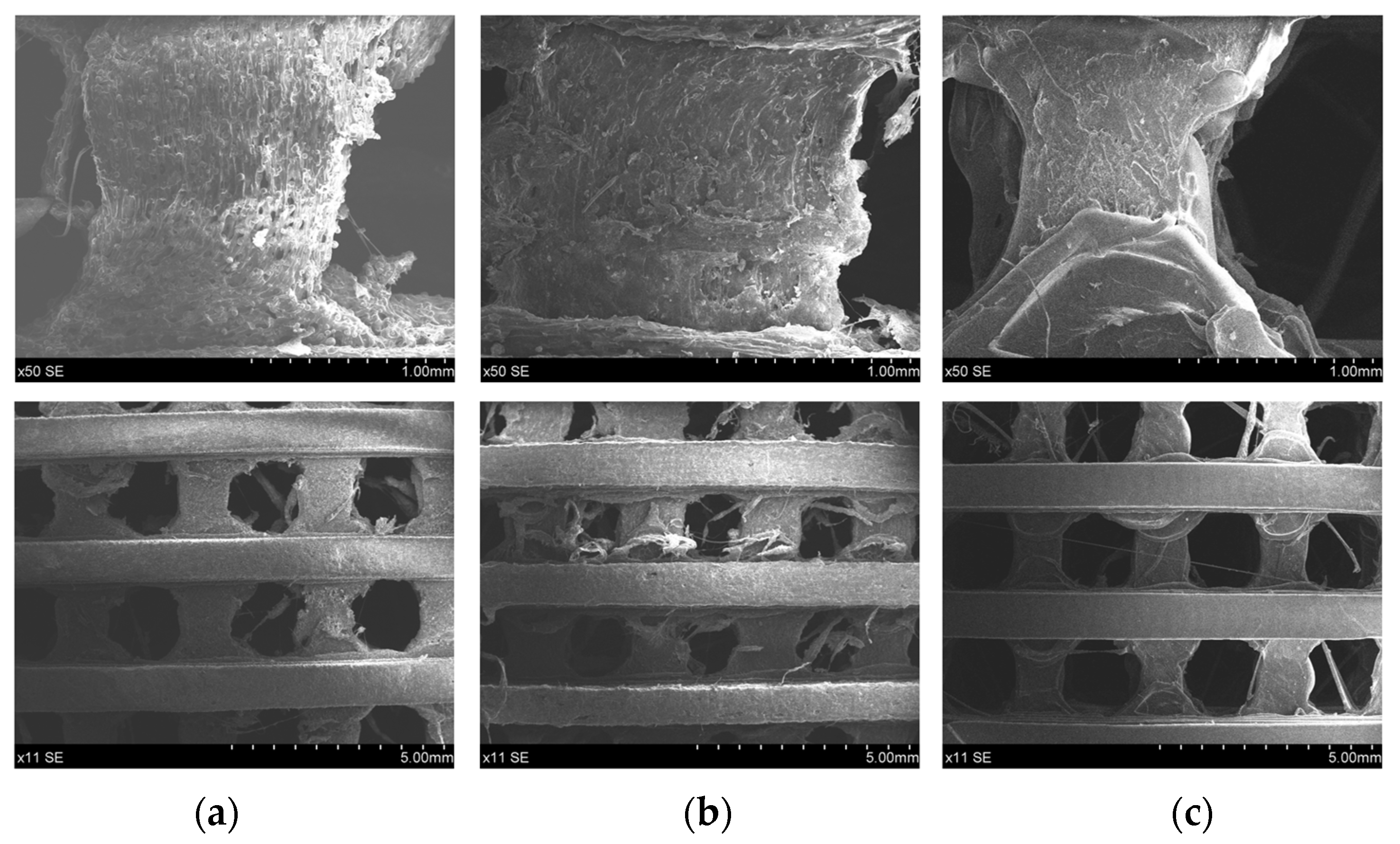 Development and Evaluation of 3D-Printed PLA/PHA/PHB/HA Composite Scaffolds for Enhanced Tissue ...
