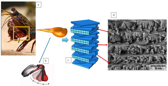 Bio-Inspired Helicoidal Composite Structure Featuring Graded Variable ...