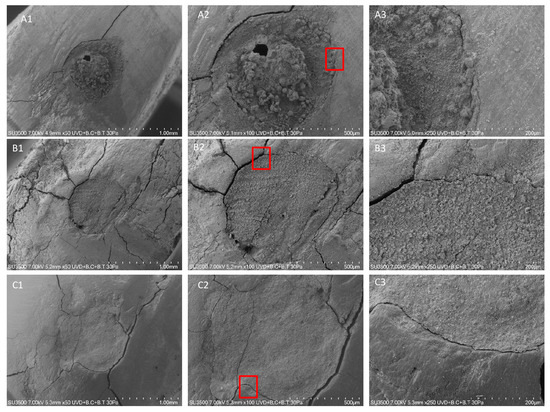 Comparative Evaluation of Marginal Adaptation and Dimensional Stability ...