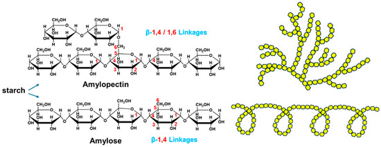 Recent Progress on the Application of Chitosan, Starch and Chitosan ...