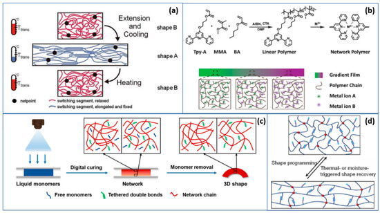 A Review of the Current State of Research and Future Prospectives on ...