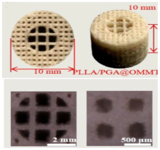 Biodegradable Alternatives to Plastic in Medical Equipment: Current ...