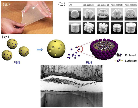 Biodegradable Alternatives to Plastic in Medical Equipment: Current ...