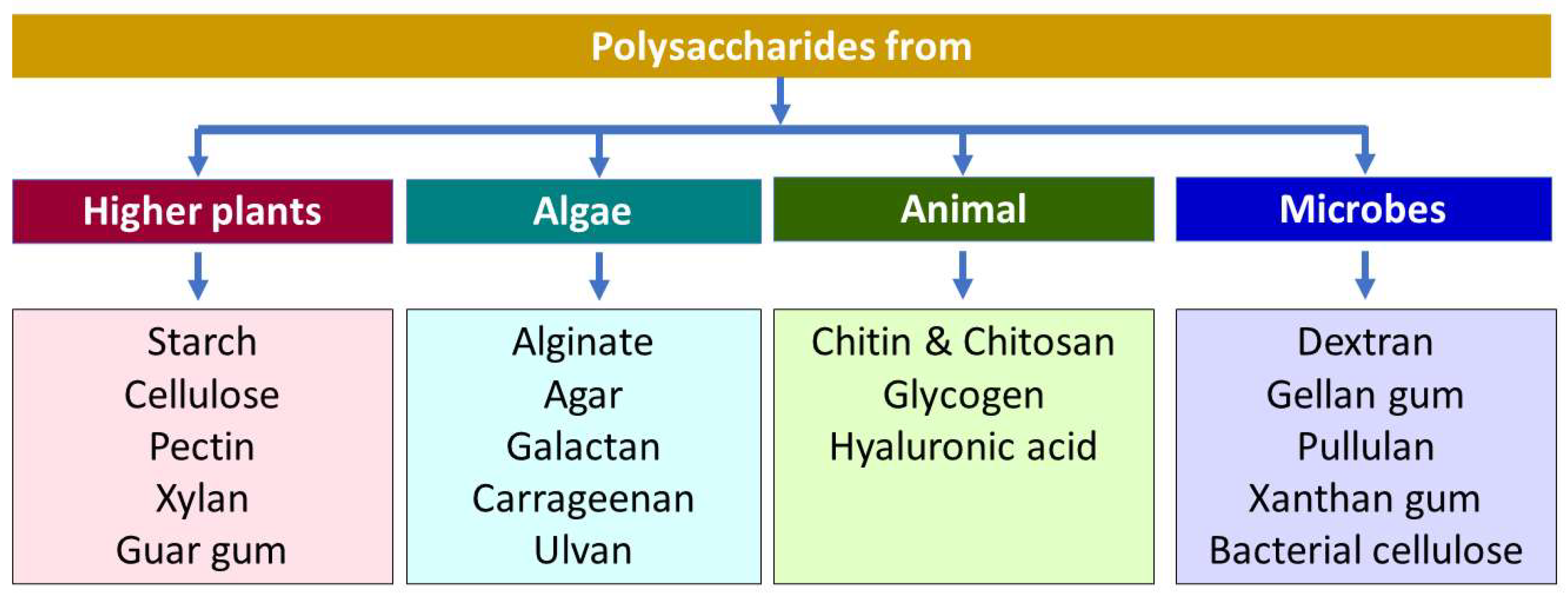 Polysaccharide-Based Bioplastics: Eco-Friendly and Sustainable Solutions for Packaging