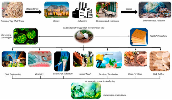 Valorization of Eggshell as Renewable Materials for Sustainable ...