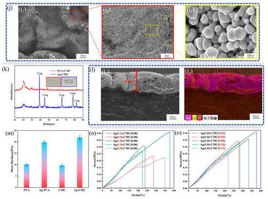 Comprehensive Review of Hydrogel Synthesis, Characterization, and ...