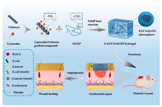 Comprehensive Review of Hydrogel Synthesis, Characterization, and ...
