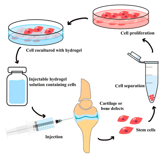 Comprehensive Review of Hydrogel Synthesis, Characterization, and Emerging Applications