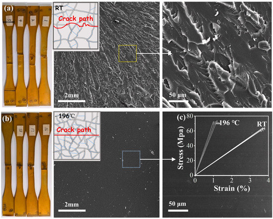Cryogenic Impact on Carbon Fiber-Reinforced Epoxy Composites for ...