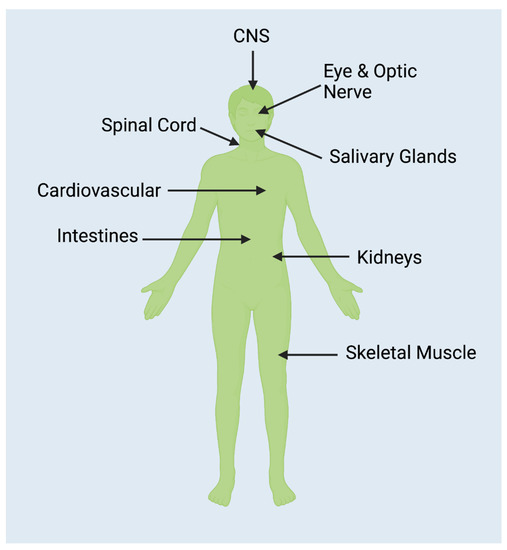 JCTO | Free Full-Text | Recontextualizing Neuromyelitis Optica as a ...