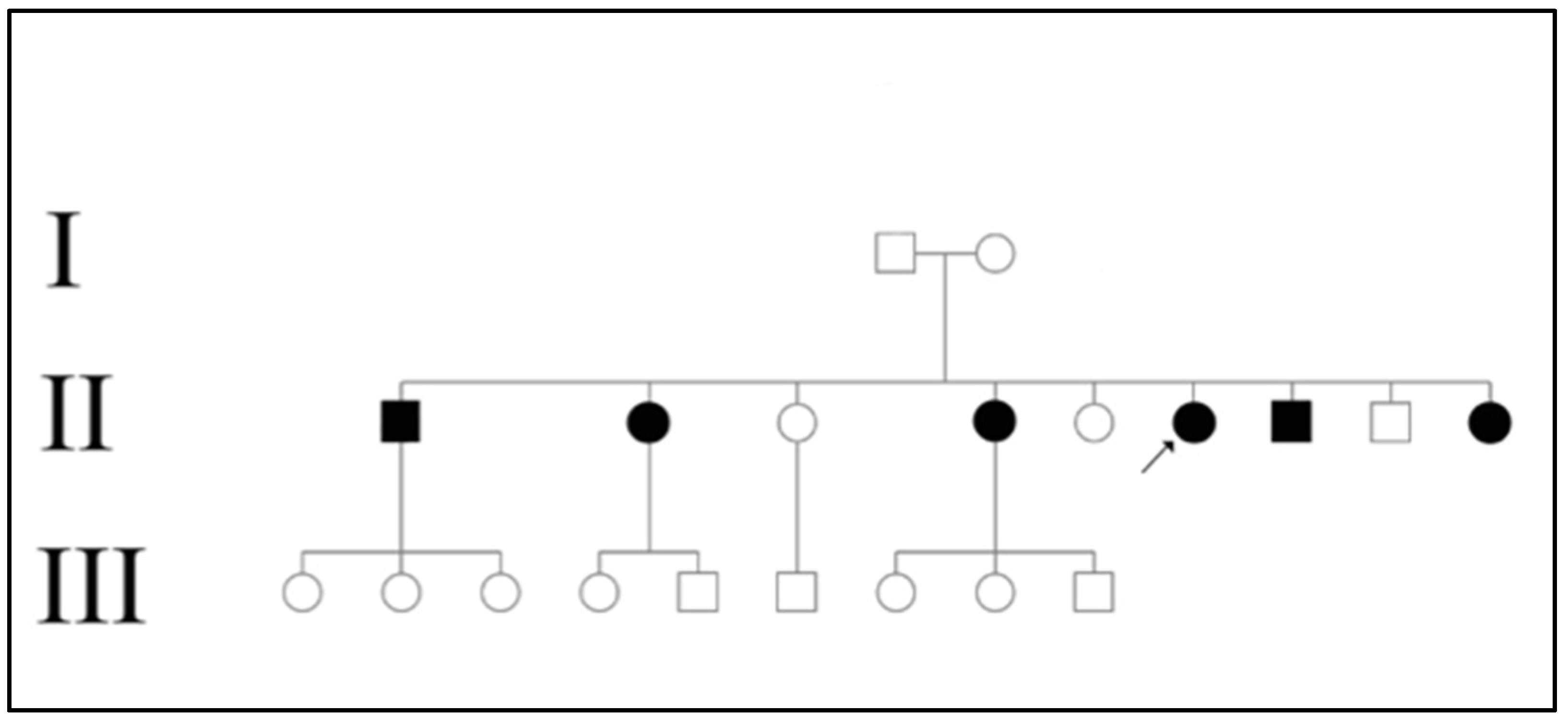 Mutational Analysis of the SLC4A11 Gene in a (Filipino) Family with ...
