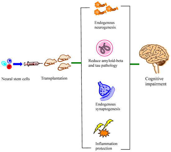 Neural Stem Cell Therapy for Alzheimer’s Disease: A-State-of-the-Art Review