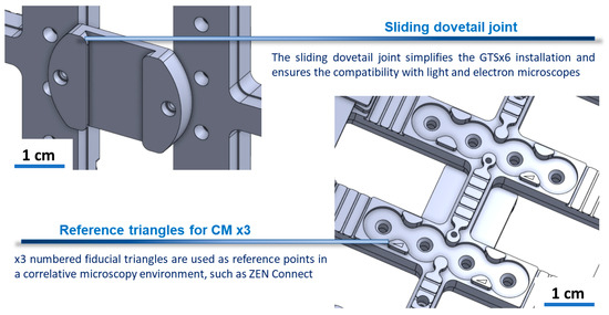 Correlative Light and Electron Microscopy (CLEM): A Multifaceted Tool ...