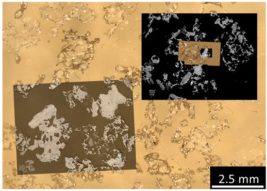Correlative Light and Electron Microscopy (CLEM): A Multifaceted Tool ...