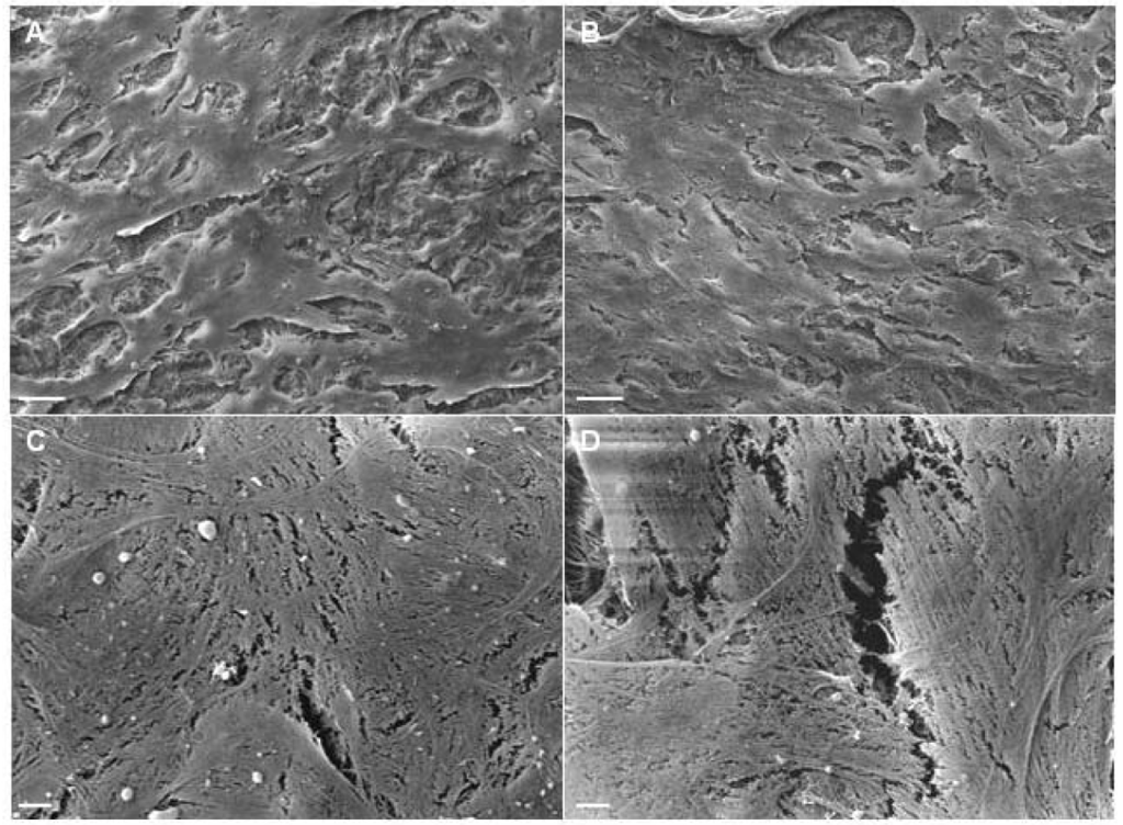 A Novel Pulsatile Bioreactor for Mechanical Stimulation of Tissue ...