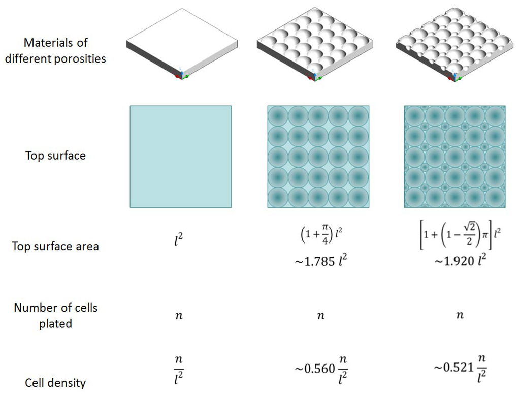 JFB | Free Full-Text | Is Macroporosity Absolutely Required for ...