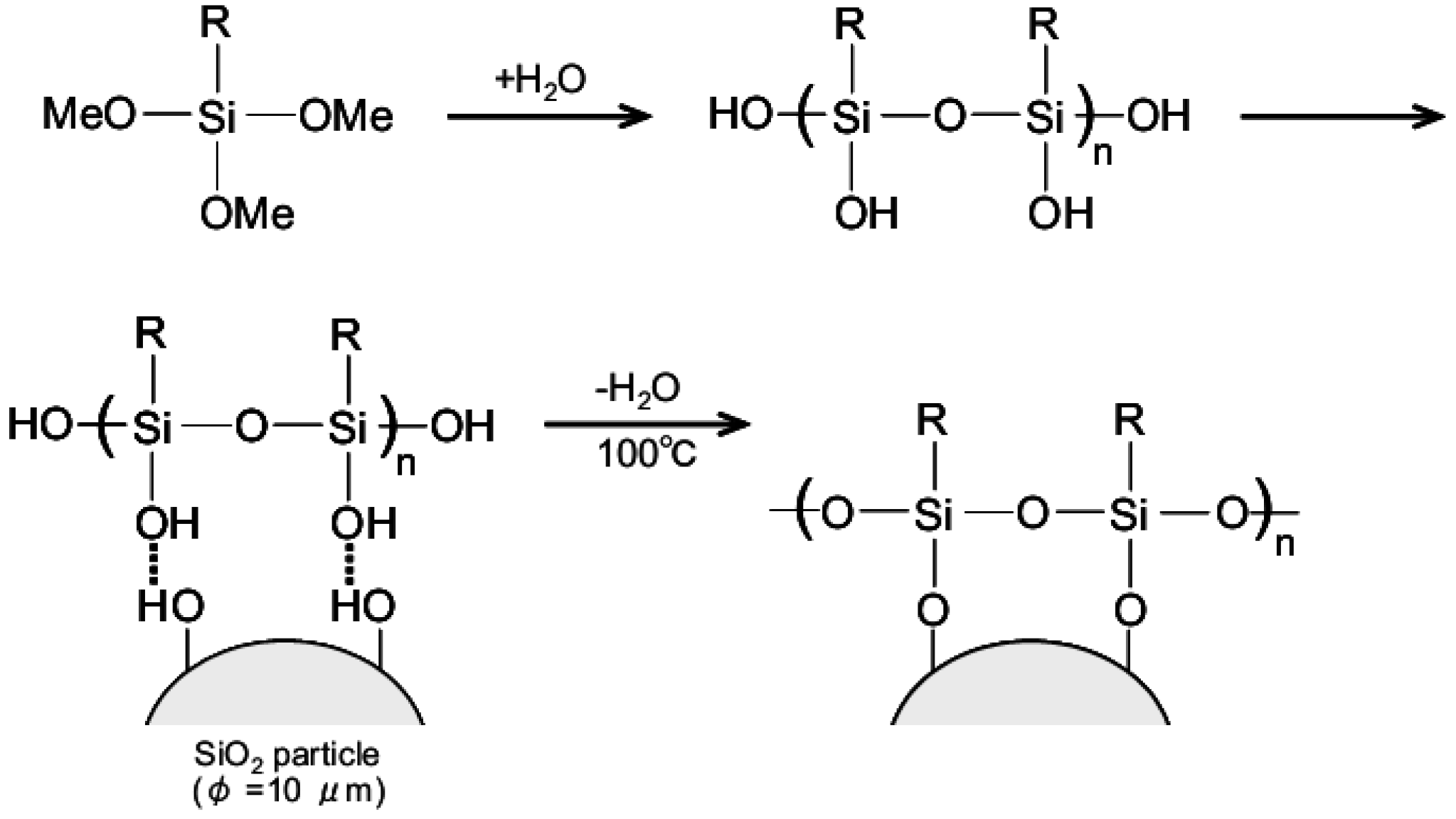 Development of an Interaction Assay between Single-Stranded Nucleic ...