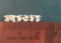 Fabrication and Optimal Design of Biodegradable Polymeric Stents for ...