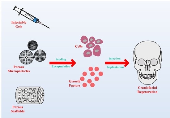 JFB | Free Full-Text | Reconstruction of Craniomaxillofacial Bone ...