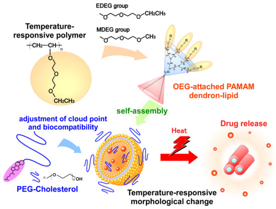 Temperature-Responsive Molecular Assemblies Using Oligo(Ethylene Glycol ...