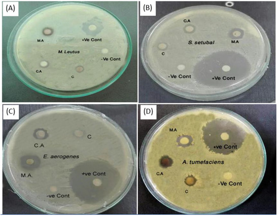 Synthesis of Functional Silver Nanoparticles and Microparticles with ...