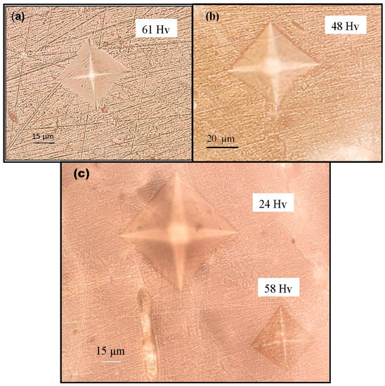 Hardness, an Important Indicator of Bone Quality, and the Role of ...