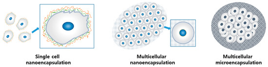 Biomaterials for Cell-Surface Engineering and Their Efficacy