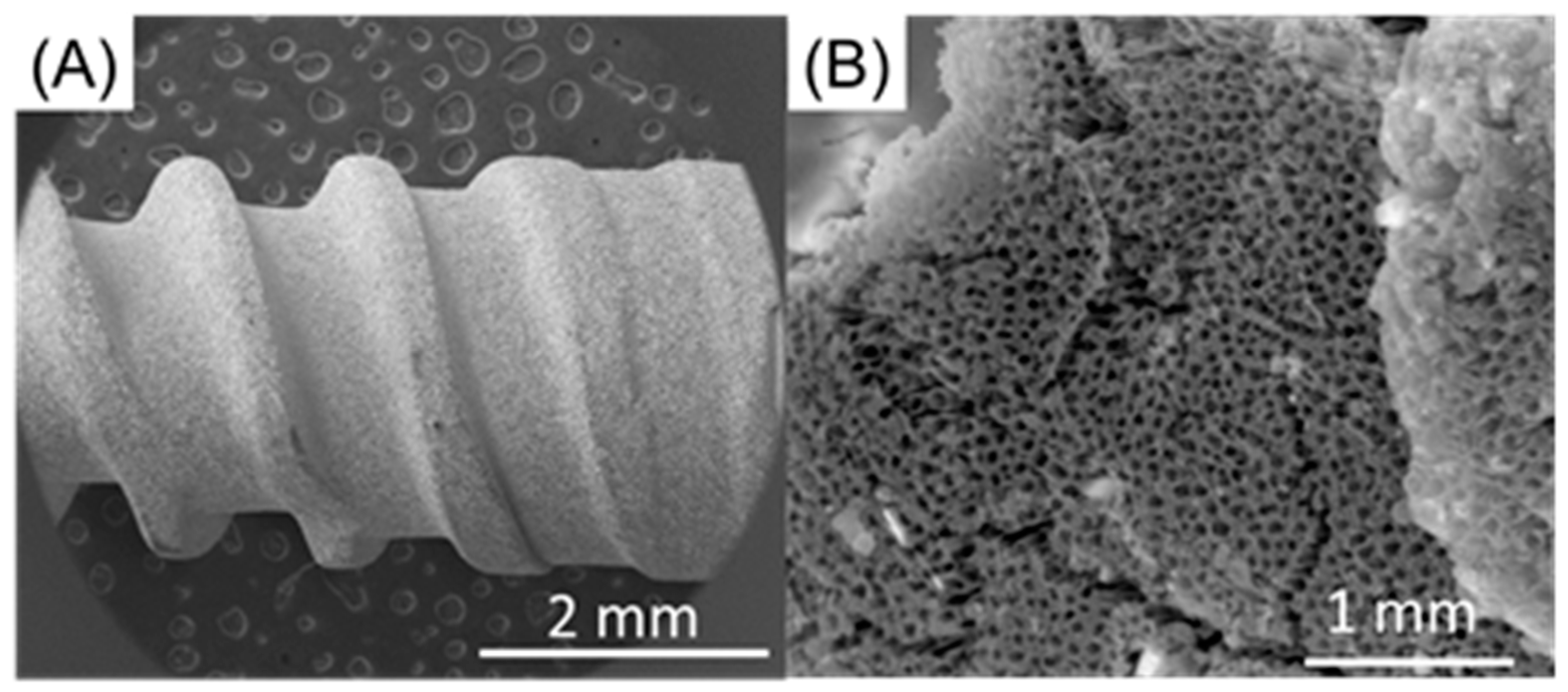 In Vitro Corrosion of SiC-Coated Anodized Ti Nano-Tubular Surfaces