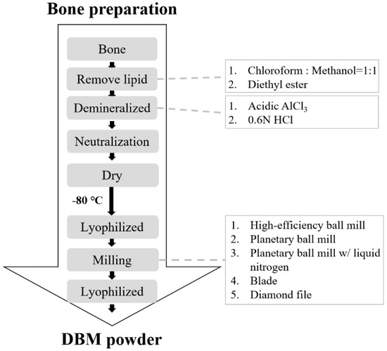 Preparation and Characterization of Moldable Demineralized Bone Matrix ...