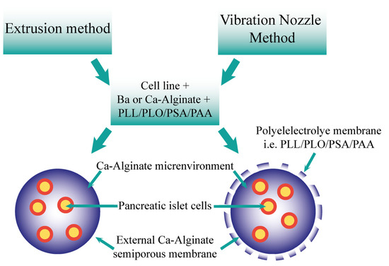 Artificial Cell Encapsulation for Biomaterials and Tissue Bio ...