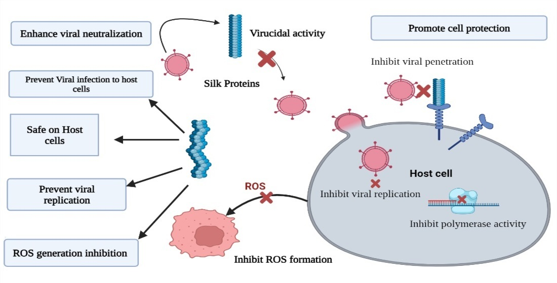 JFB | Free Full-Text | Inhibitory Effects of Bacterial Silk-like ...