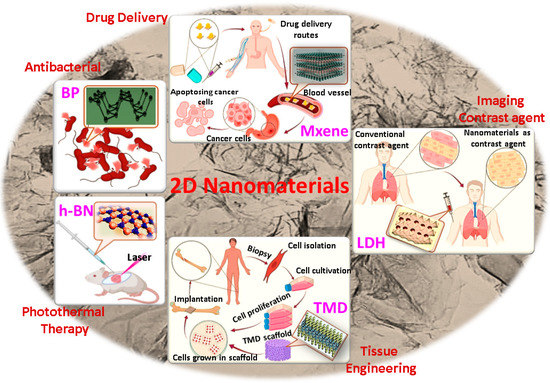 JFB | Free Full-Text | Two-Dimensional Nanomaterials beyond Graphene for Biomedical Applications