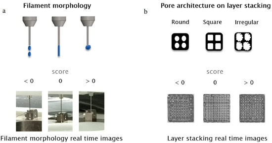 Printability and Cell Viability in Extrusion-Based Bioprinting from Experimental, Computational ...
