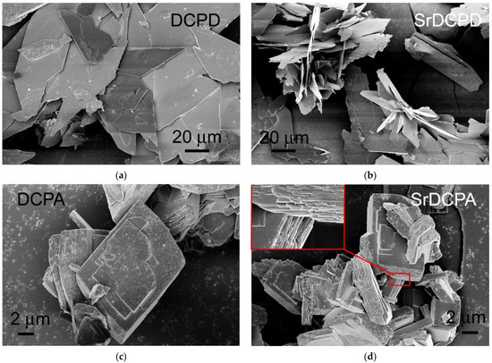 Monetite vs. Brushite: Different Influences on Bone Cell Response ...