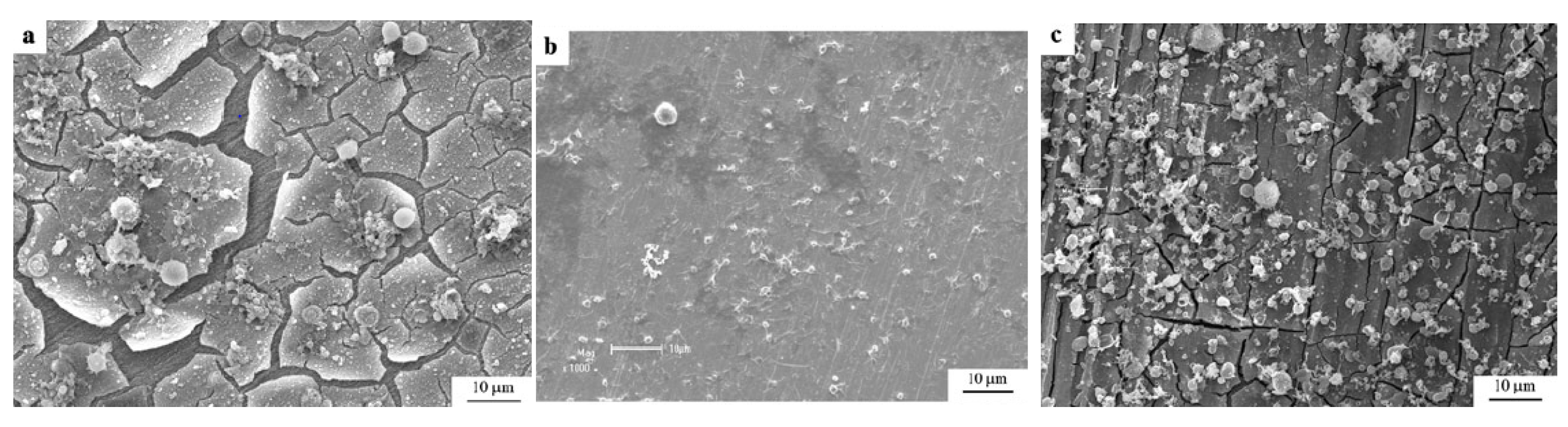 Pure Iron Microstructure
