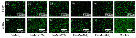 Biodegradable Iron and Porous Iron: Mechanical Properties, Degradation ...