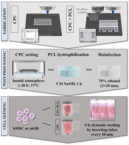 JFB | June 2022 - Browse Articles