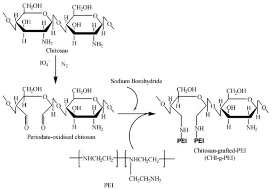 JFB | Free Full-Text | Polyelectrolyte Multilayers Composed of ...