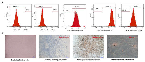 Biological Activities of Glass Ionomer Cement Supplemented with ...