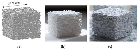 DLP Fabrication of Zirconia Scaffolds Coated with HA/β-TCP Layer: Role ...