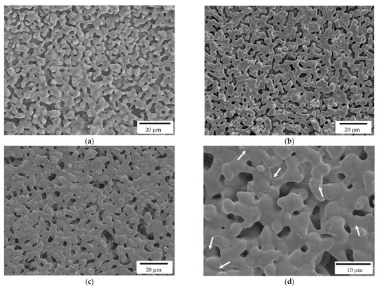 DLP Fabrication of Zirconia Scaffolds Coated with HA/β-TCP Layer: Role ...