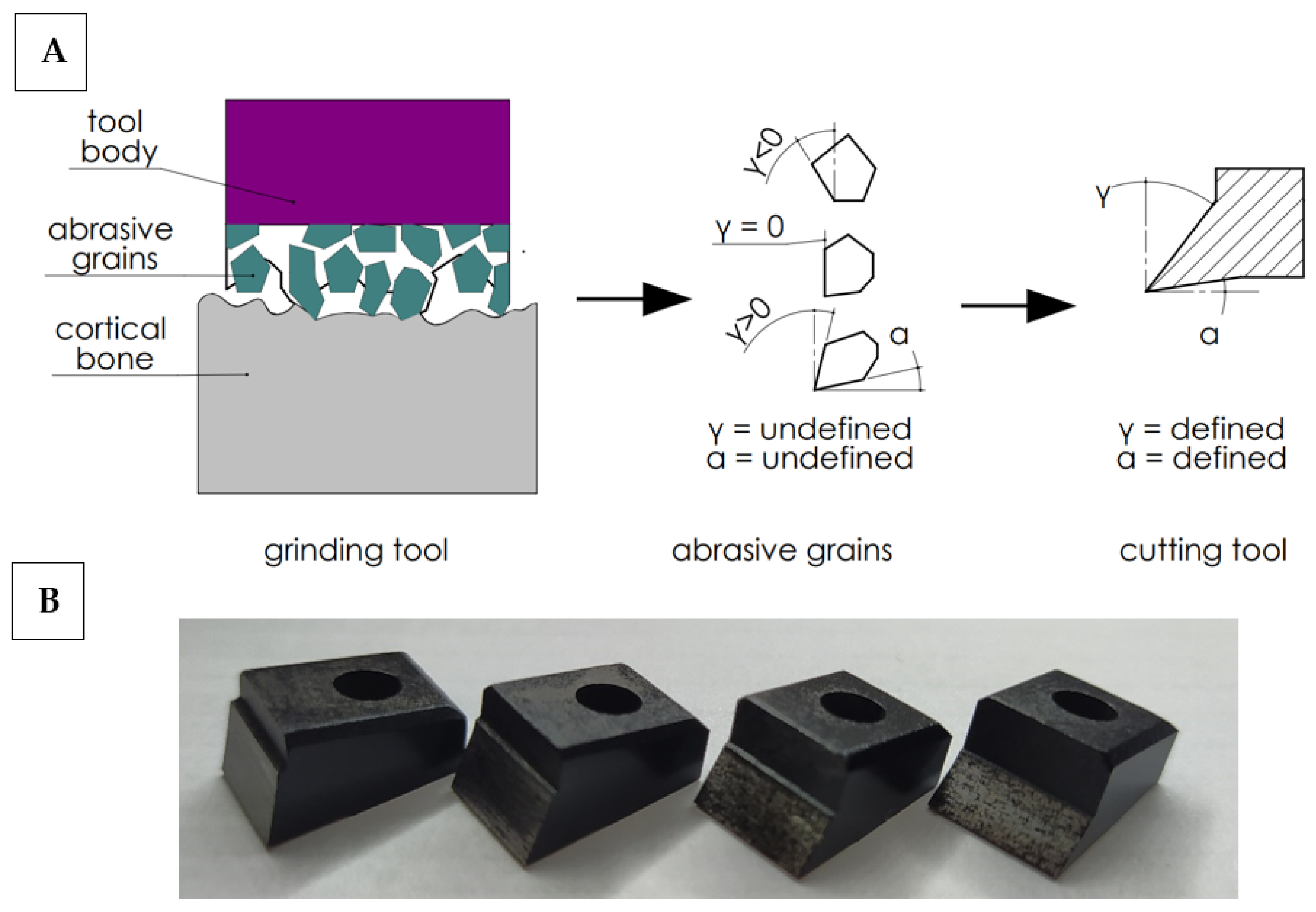 Jfb Free Full Text Bone Abrasive Machining Influence Of Tool Geometry And Cortical Bone