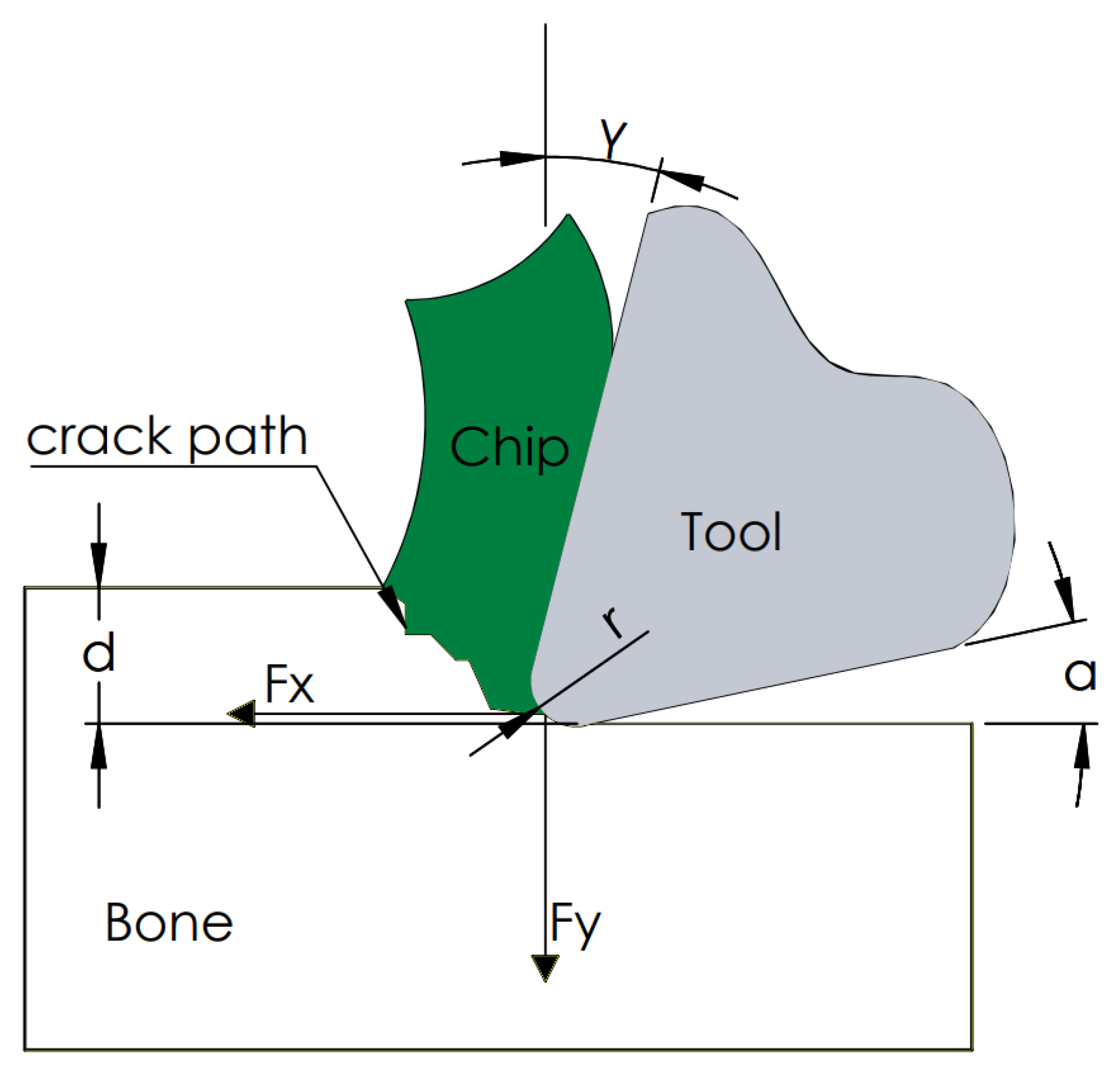 Jfb Free Full Text Bone Abrasive Machining Influence Of Tool Geometry And Cortical Bone